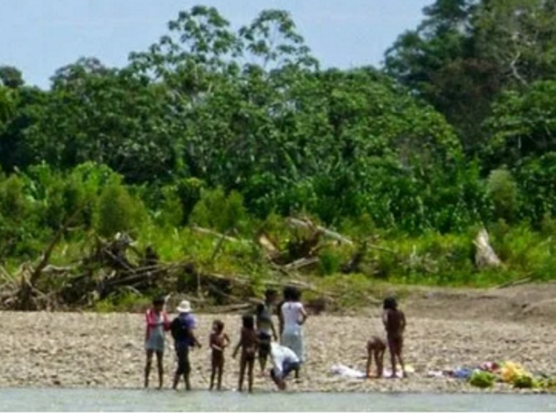Los “Mashco Piro”: descubrieron en Perú una tribu indígena nunca vista ...